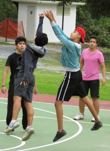 Acampan en el bosque