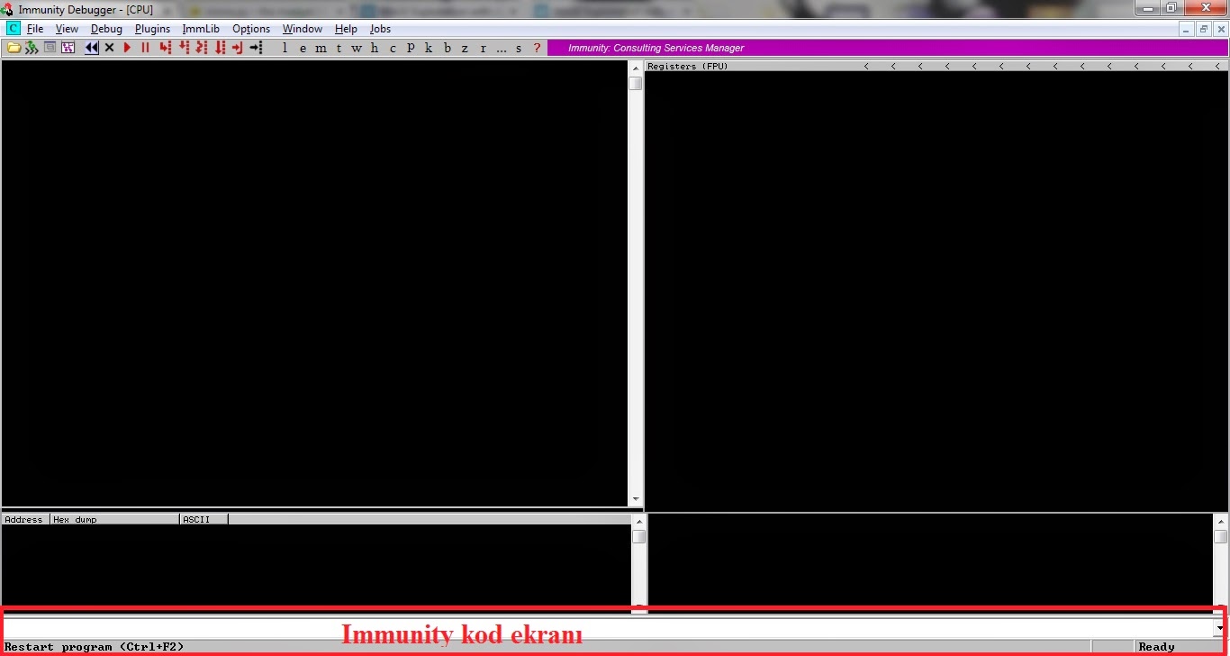 Sekürii: Immunity Debugger’a mona.py Plugini Ekleme