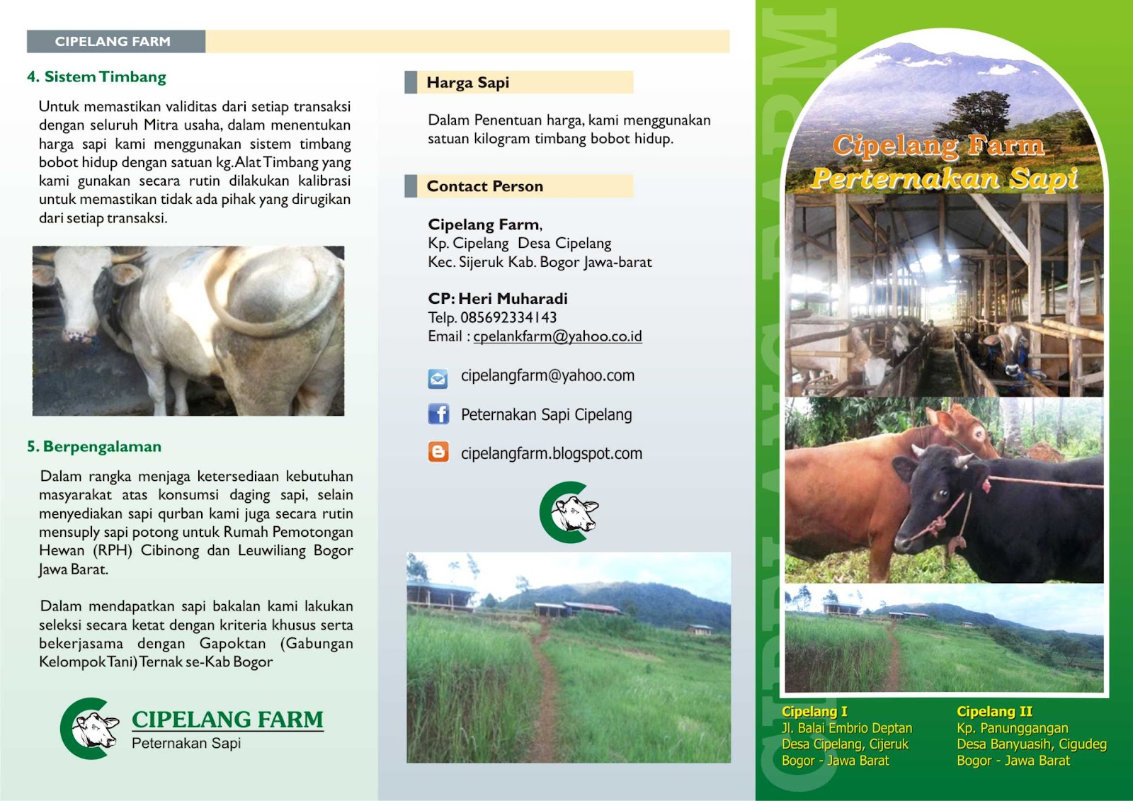 SAPI QURBAN 2015 TIMBANG HIDUP SEHAT & MURAH DI : BROSUR SAPI QURBAN