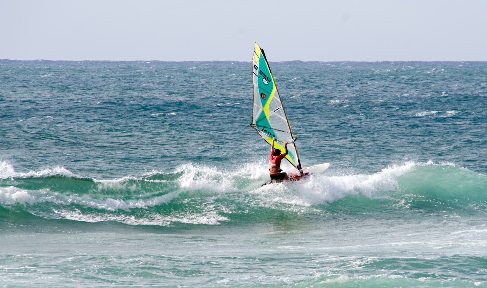 centauros del espumón: Terapia
