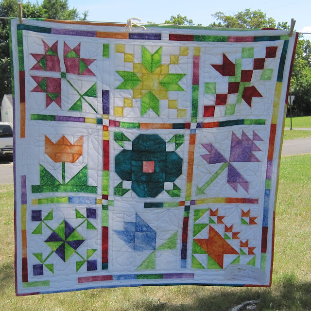 The Literate Quilter: Friendship Ring Quilt Guild Show