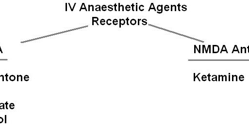 MedicoNotebook: IV Anaesthetic agents