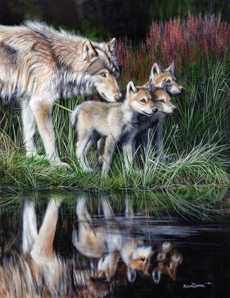 D.W.C. Animals Life - Painter Kevin Daniel - DANCE WITH COLORS