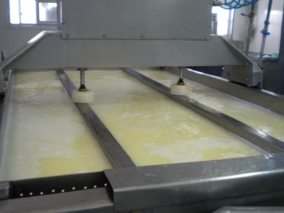 Tina de Pre Prensado en Perú | Equipos para Procesamiento en Perú