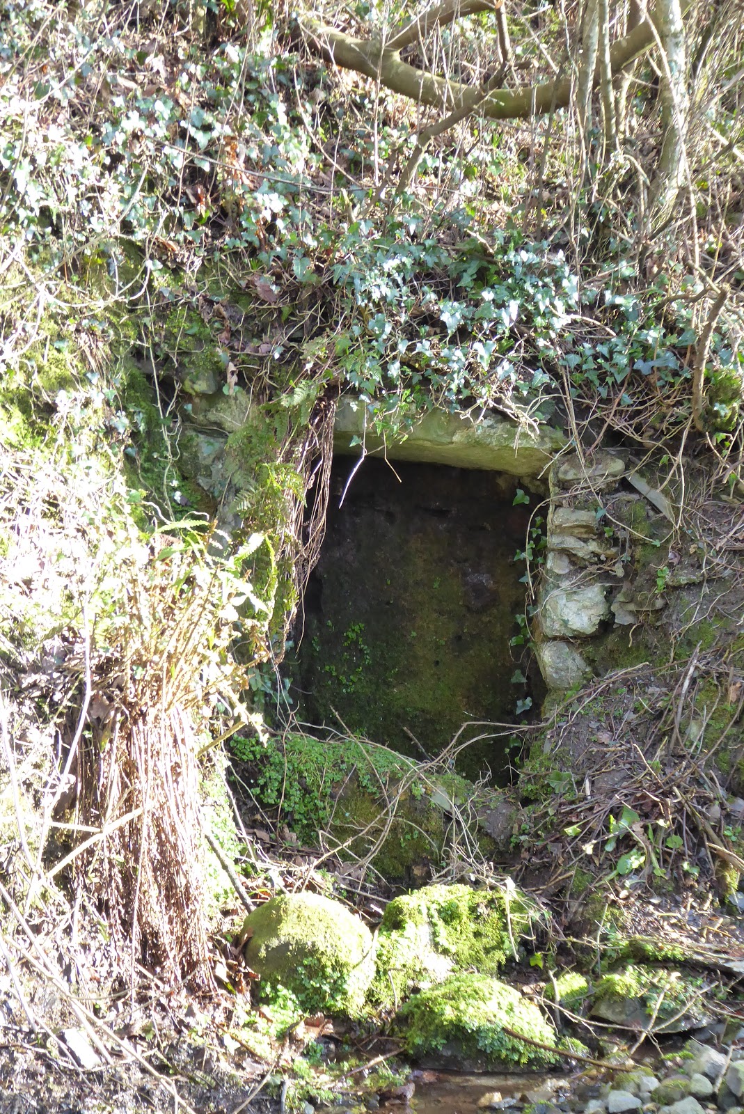 Codlinsandcream2: Today's Medieval Trackway walk