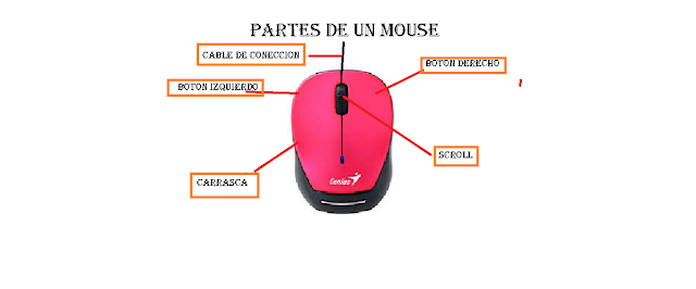 INTRODUCCIÓN A LA INFORMATICA: taller #5 partes del mause