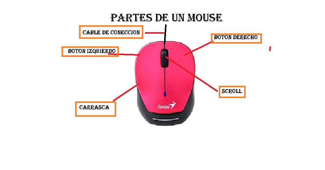 INTRODUCCIÓN A LA INFORMATICA: taller #5 partes del mause