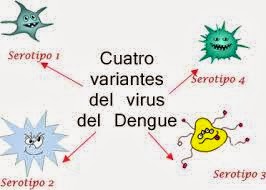 Dengue : Tipos de Dengue