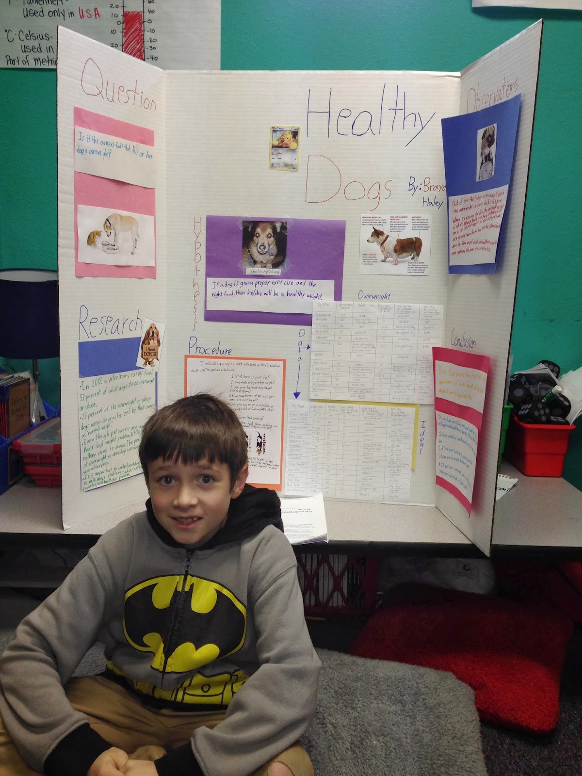 Ms. Seeley's Fourth Grade: Science Fair 2014