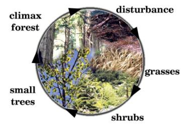 behind the LINES: lecture 2 - HUMANS IN THEIR ECOLOGICAL SETTING