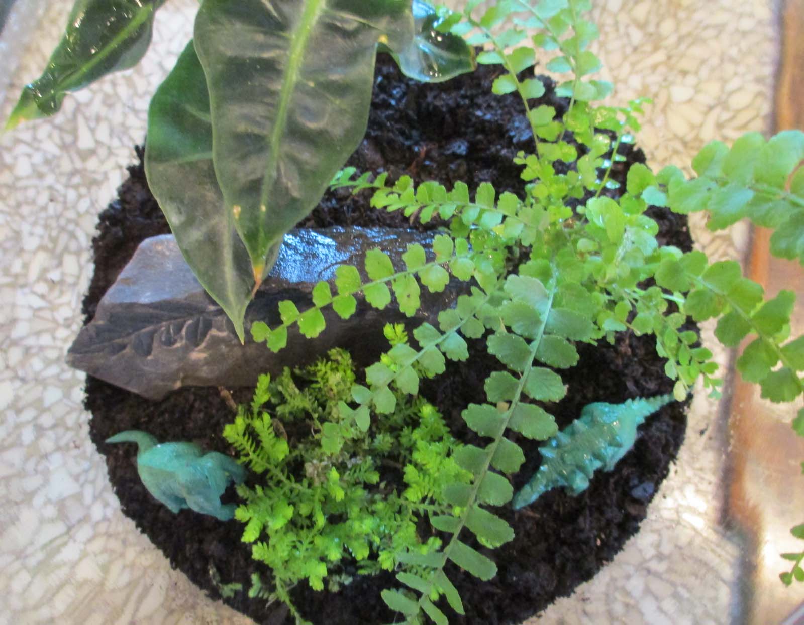 Garden Fancy: Terraria Mania