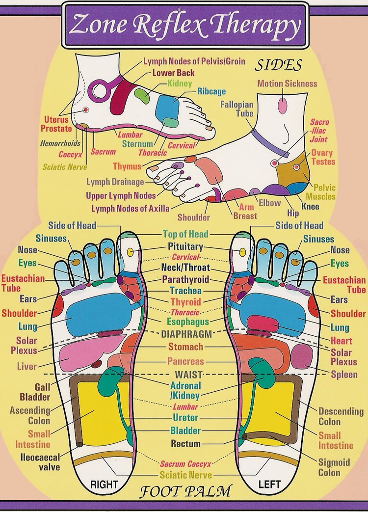 My Healthy Life: Try Reflexology!