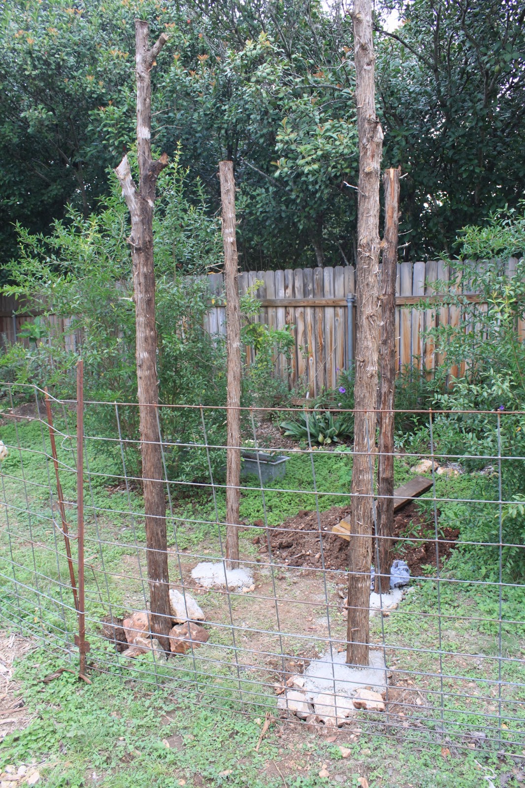 Rock-Oak-Deer: Building a Cedar Post Arbor