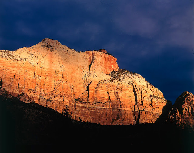 Blue Heron Blast: Yule Gibbons