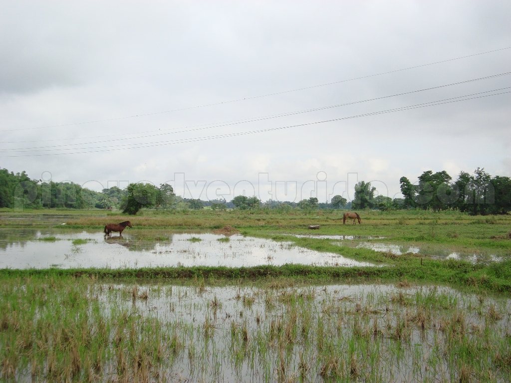 Cagayan - Crossing Buntun Bridge, the Longest River Bridge in the ...