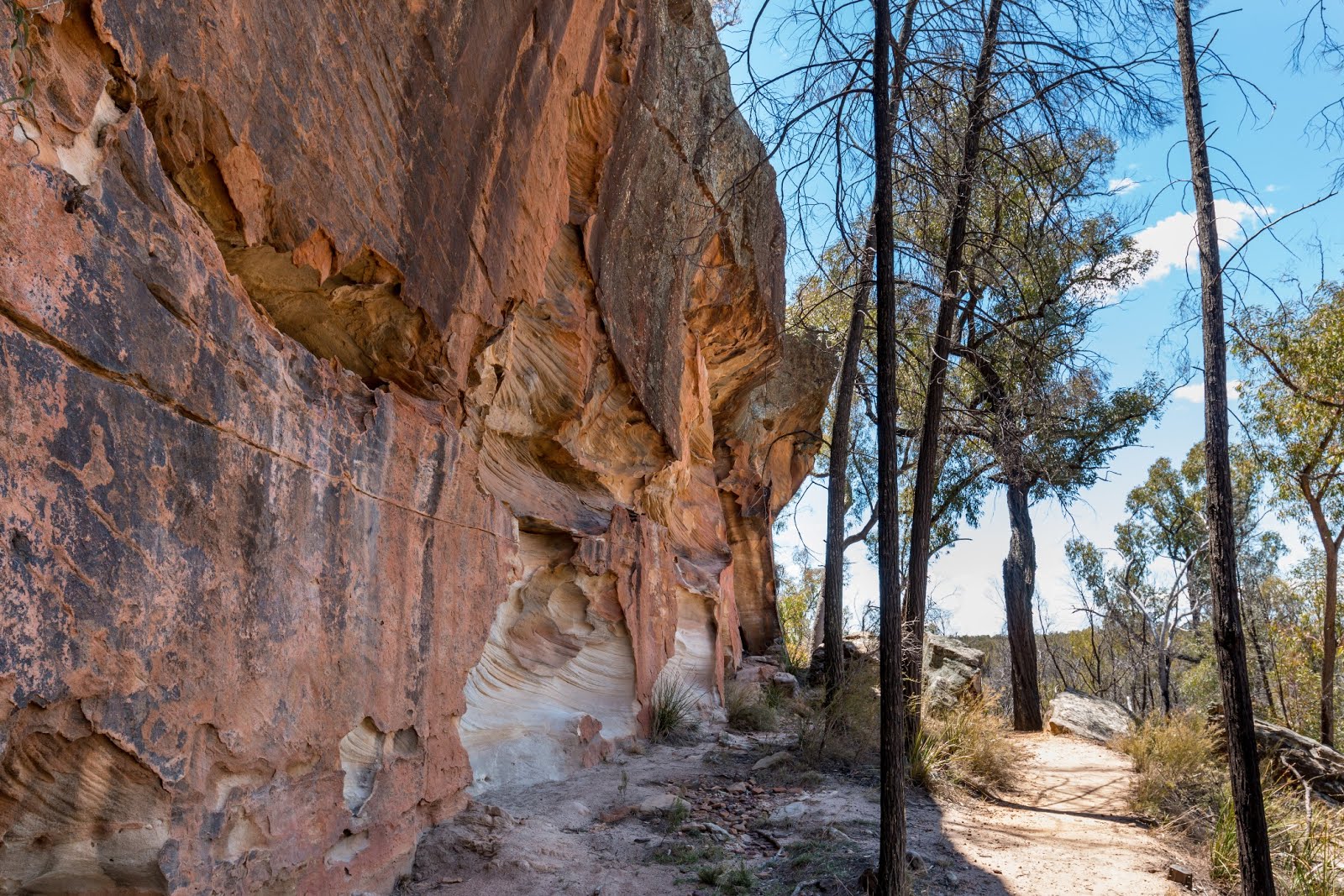 National Park Odyssey: Sandstone Caves, Pilliga National Park, NSW.