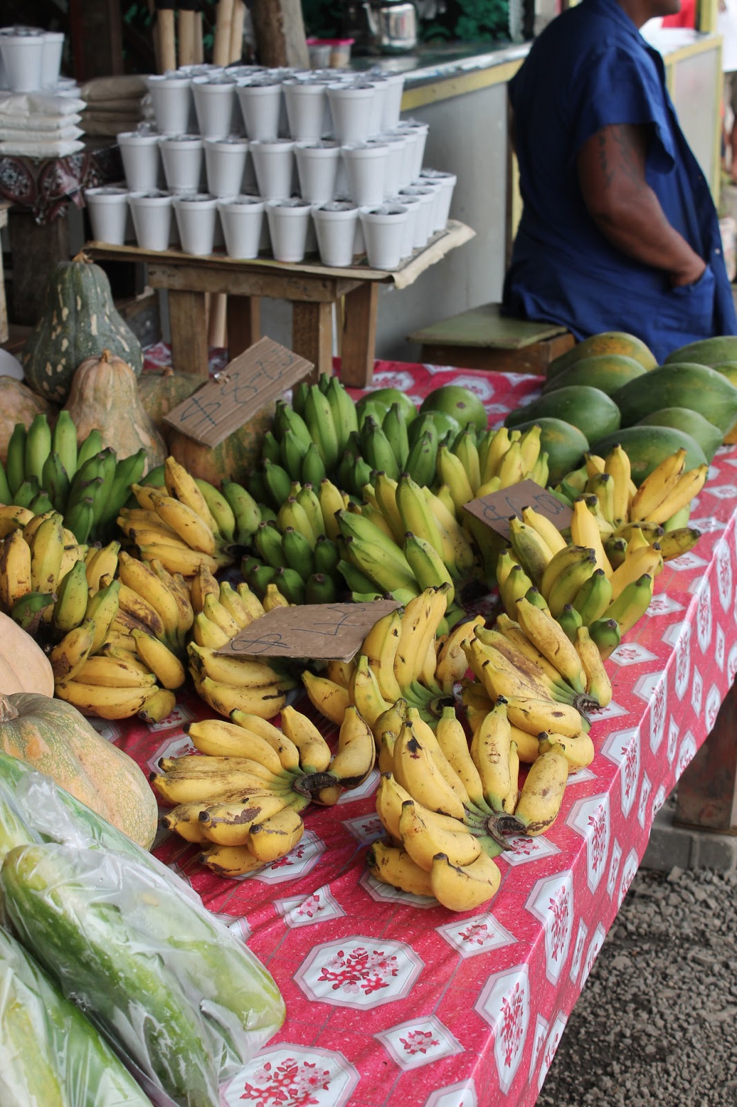 The school cave: Architecture-Dragons-Bananas