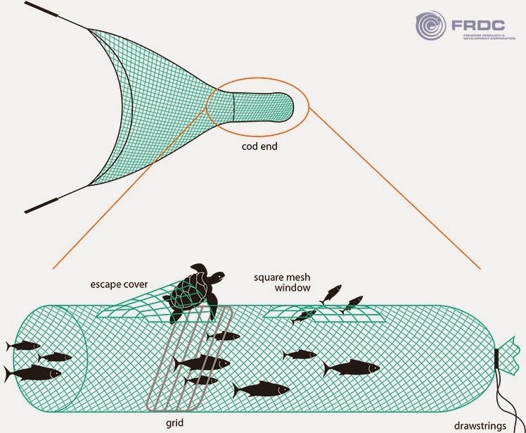 Vitality: heuristic assessing impairment and predicting survival and ...