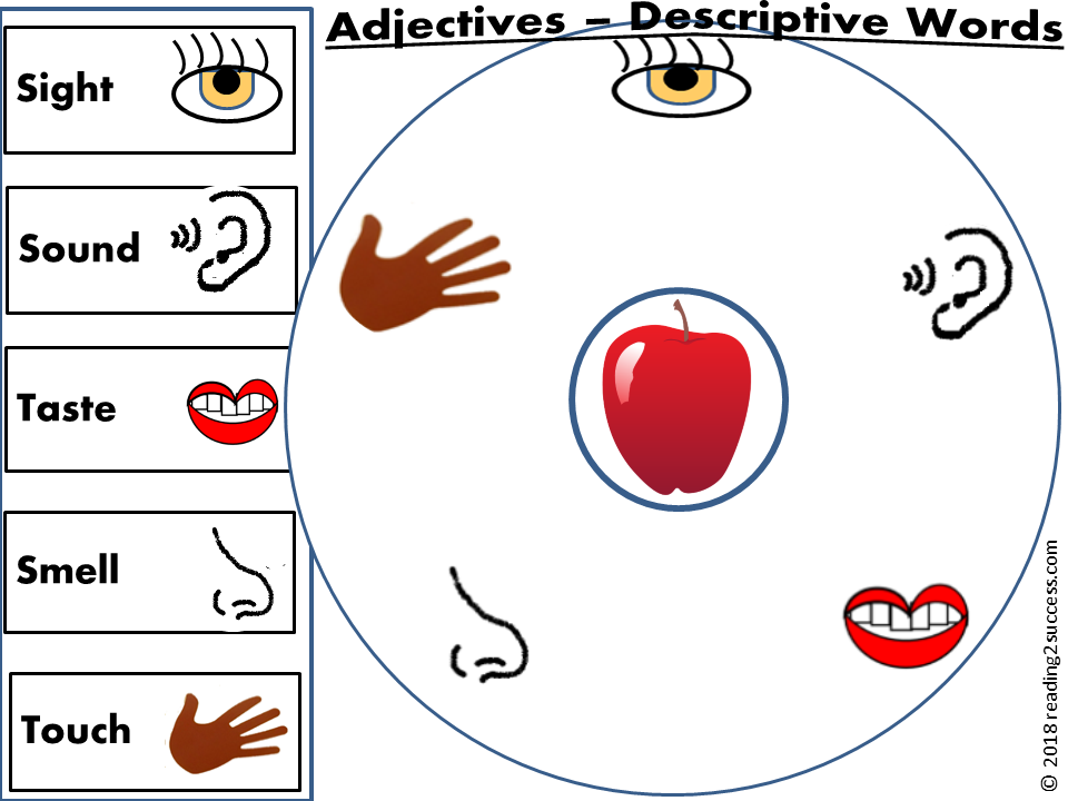 Reading2success: Main Idea, Adjectives, Verbs and the 5 Senses!
