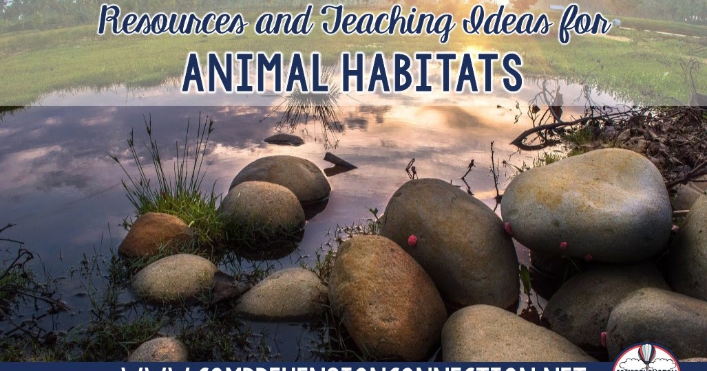 Exploring Animal Habitats with Meaningful Literature and More ...