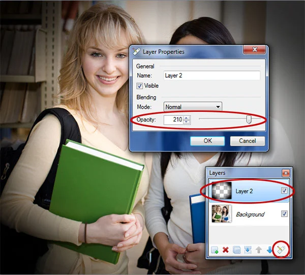 Trikmudah: Membuat Efek Vignette di Paint.NET