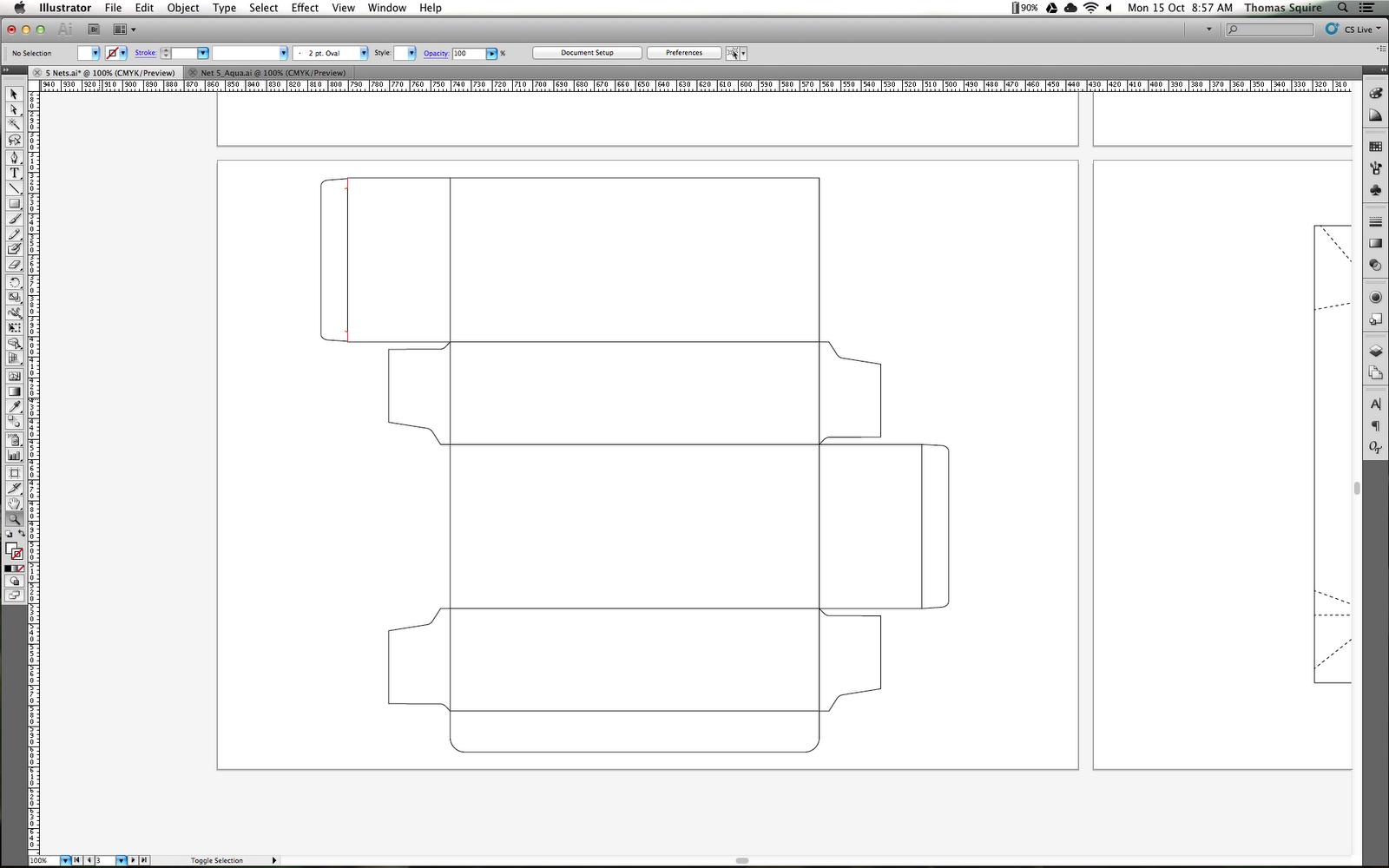 Branding to Packaging: Designing the Nets | Design Practice