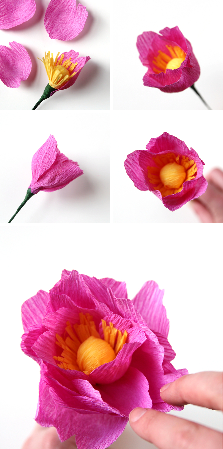 DIY CREPE PAPER PEONIES Gathering Beauty DIY CREPE PAPER PEONIES Gathering Beauty