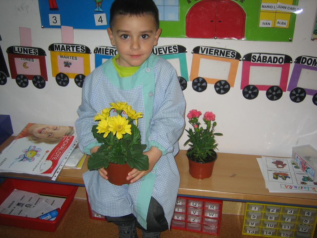 PROYECTOS INFANTIL: LA PRIMAVERA