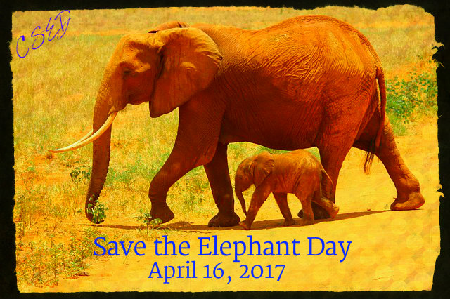 Crazy Days To Celebrate: April 16, 2017