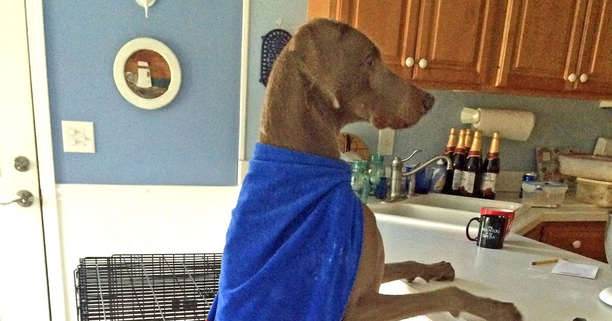 Coda and Care: Super Coda