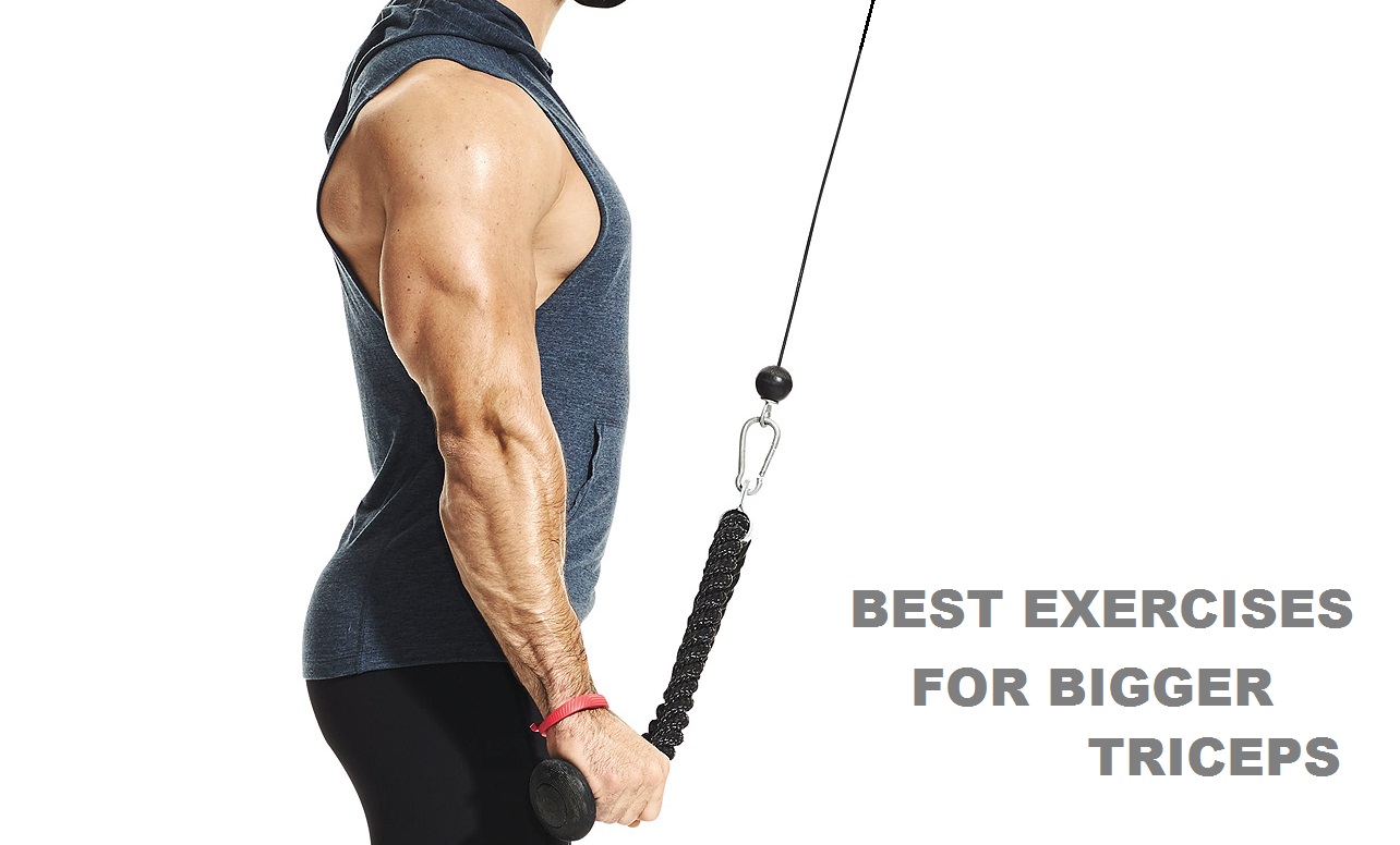 Muscle Palace Best Muscle Building Triceps Exercises Build Bigger muscle-palace-best-muscle-building-triceps-exercises-build-bigger