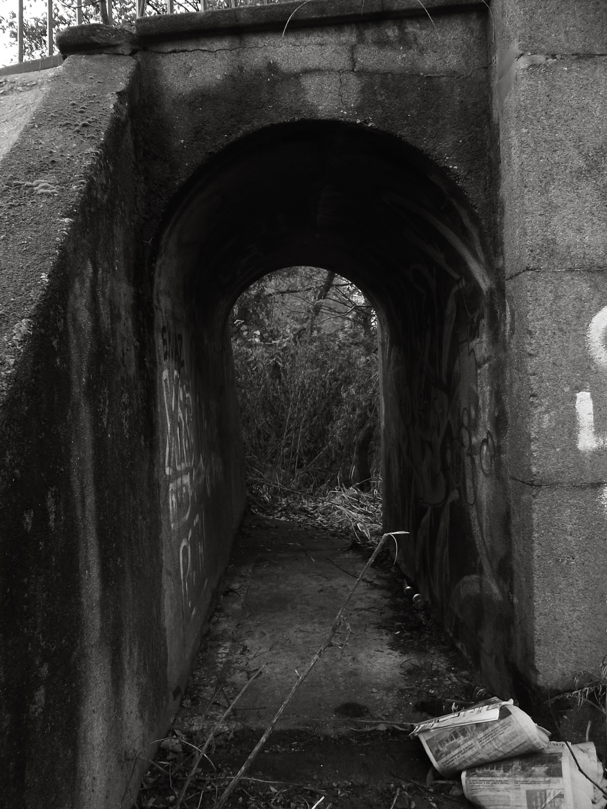 EastScapes: Dolphin Bridge