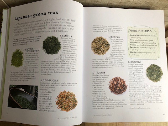 travelling teapot: 2019