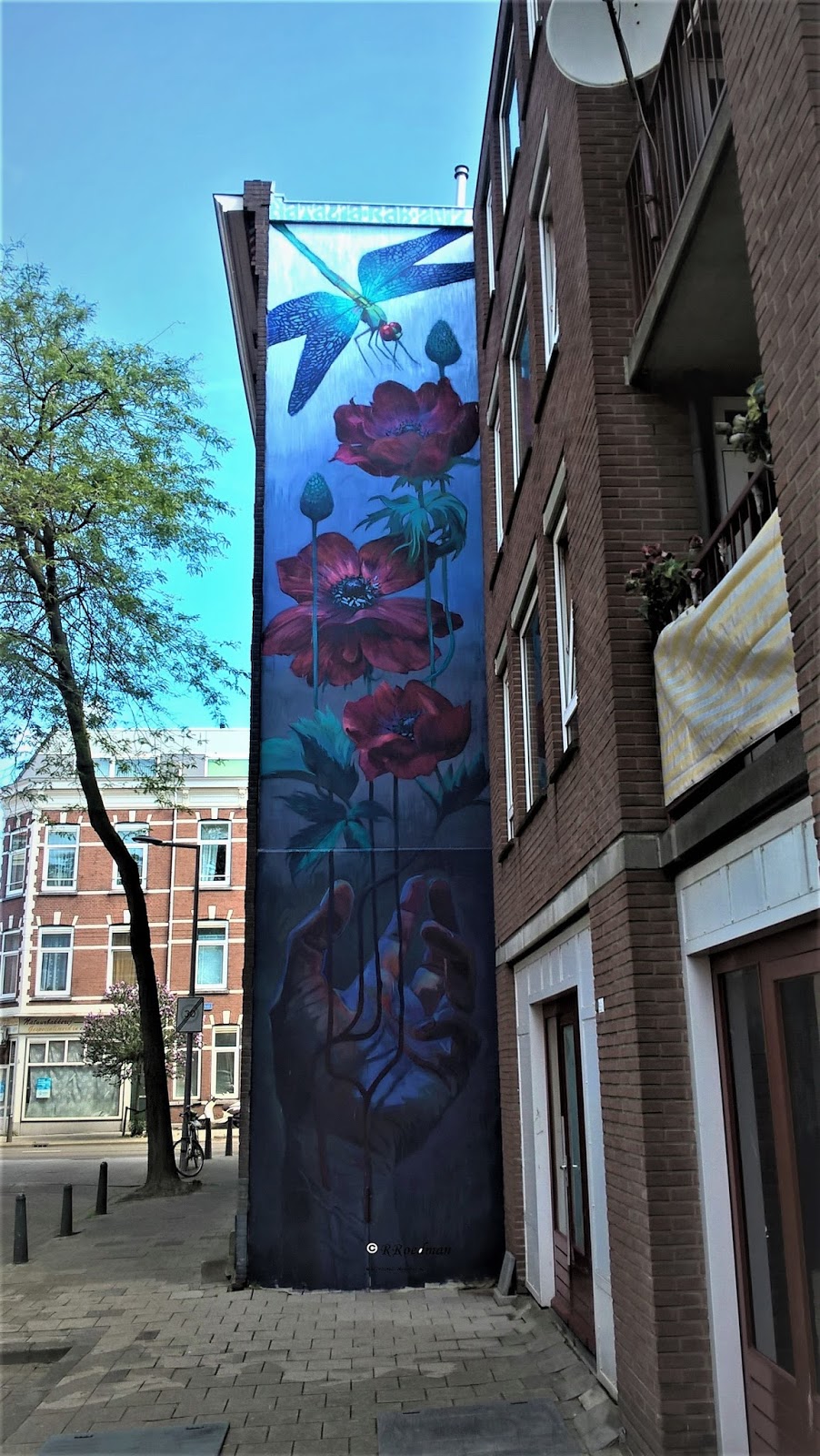 Street Art: Rotterdam - Netherlands