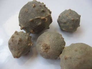 Granny Home Remedies: NEWBORNS