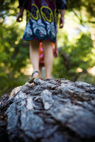 A Seasons Walk - Some the Wiser