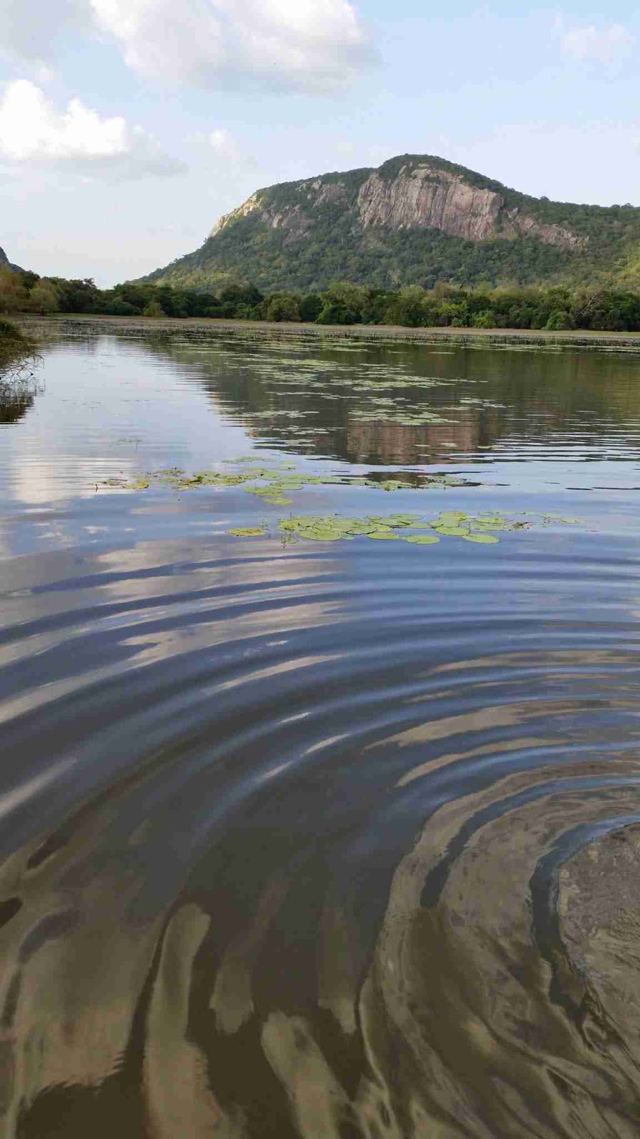 Divulgane Nature Society: 2015