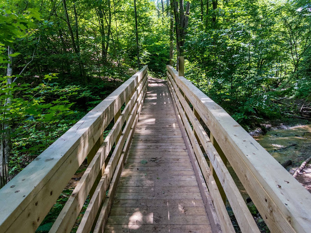 Eric's Hikes: Manistee River Trail/NCT Loop Day Hike