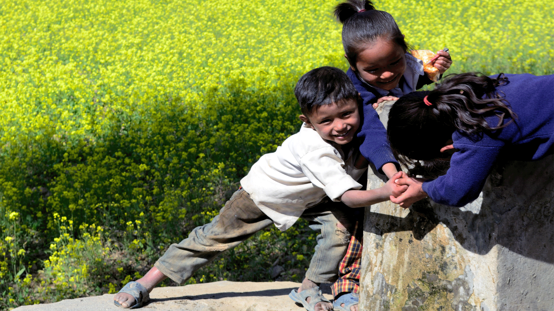 School Pathshala | Nepali Walls