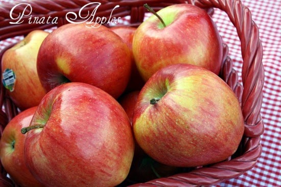 The Best Apple Crisp Ever — Mommy's Kitchen