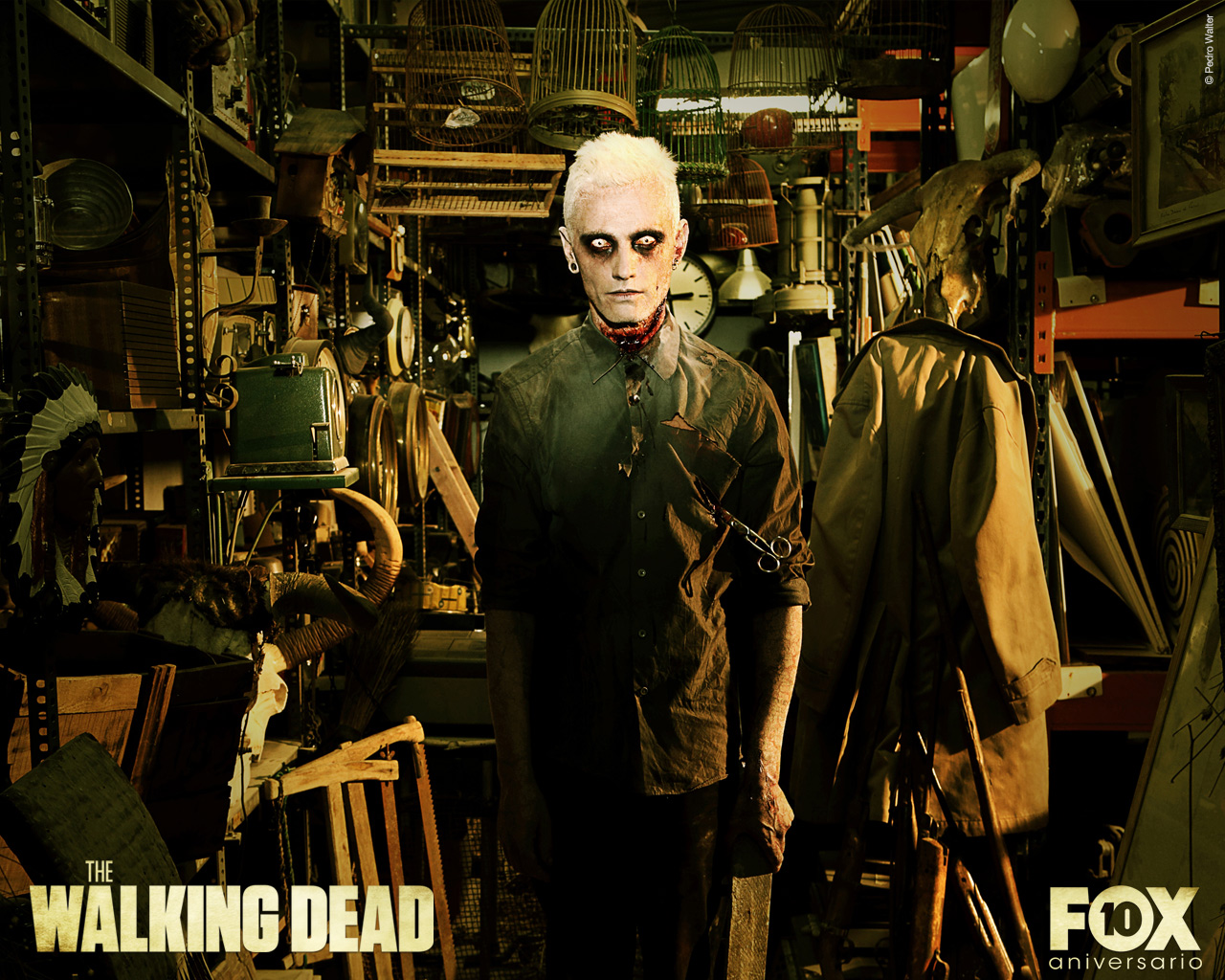 The Walking Dead vuelve a Fox - El Blog de Berni