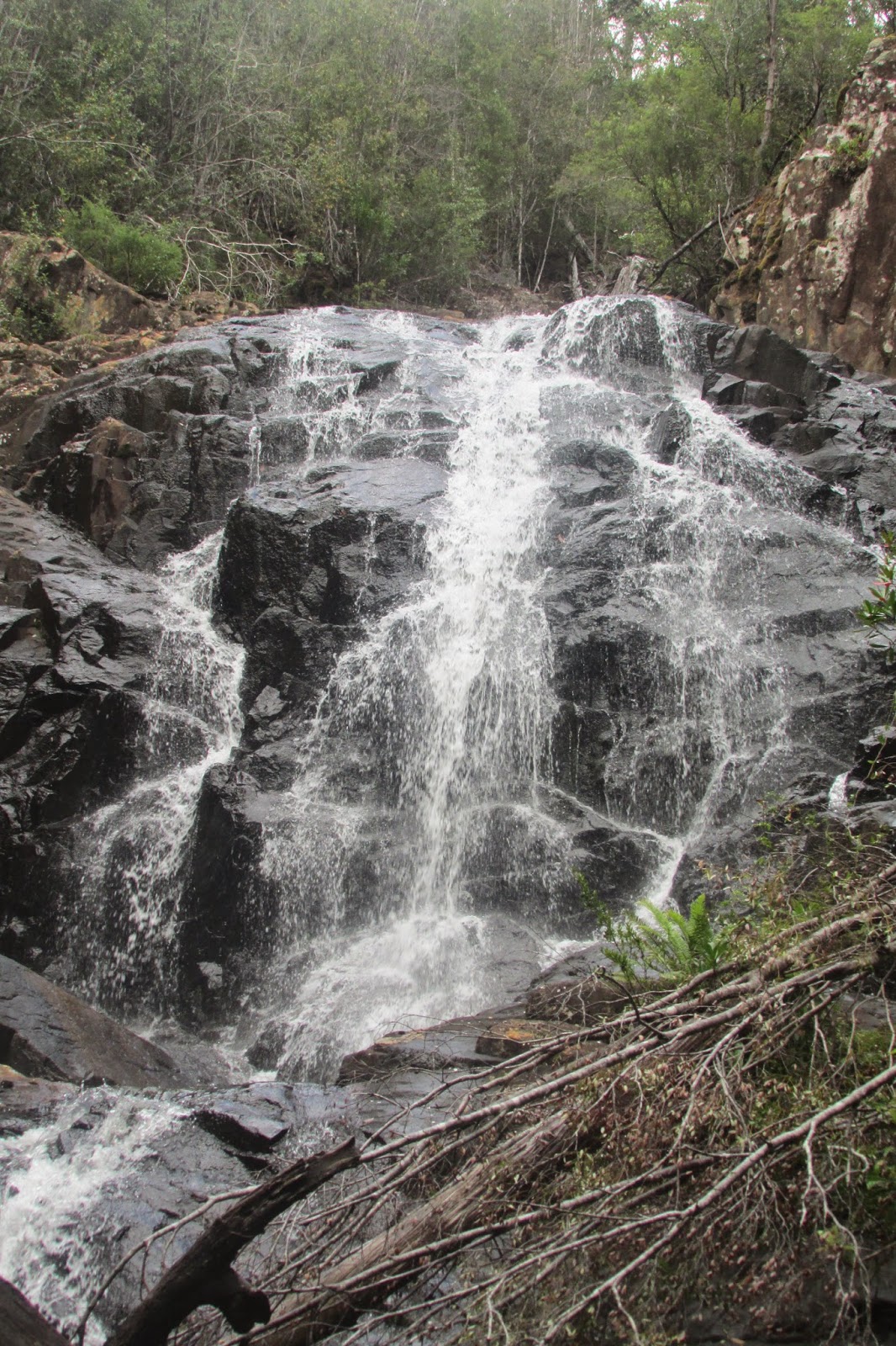 Haymans Creek Falls and Fairy Falls | Hiking South East Tasmania