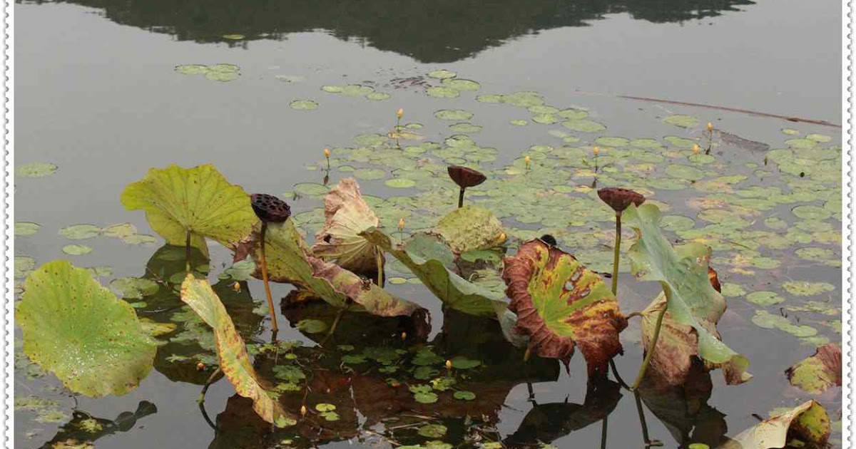 The Scriptures: Mark-03-12