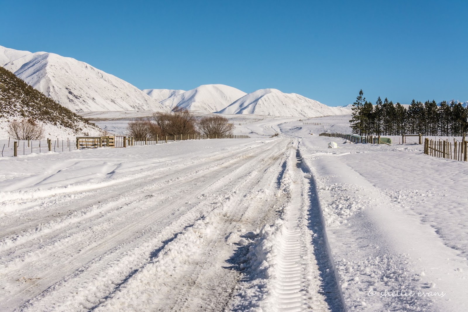 Two Go Tiki Touring: Snow Photos- Canterbury