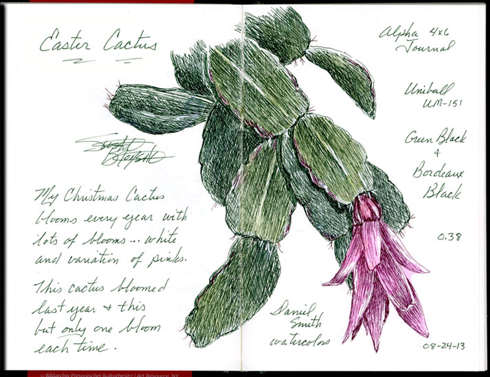 sbwatercolors and sketching: Easter Cactus - Pen and Ink with Watercolor