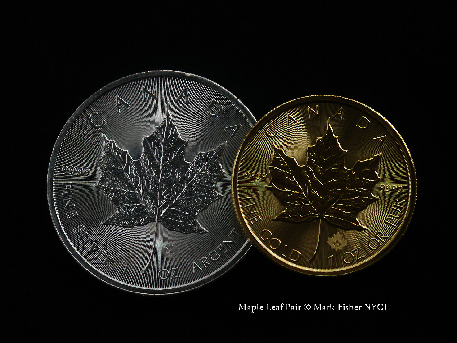 Mark Fisher American Photographer™: Maple Leaf Pair • American ...