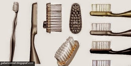 Inilah Berus Gigi Termahal di Dunia. - Gaban Comel