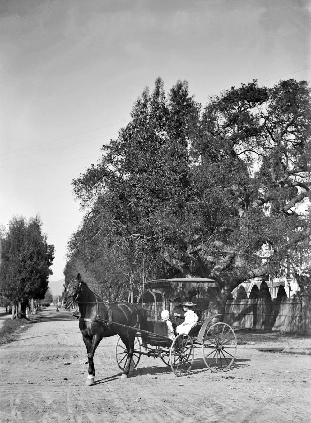 History in Photos: William Letts Oliver