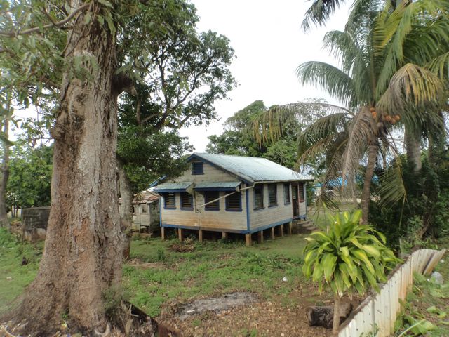 Off to Sea the Wizard: Tonga!