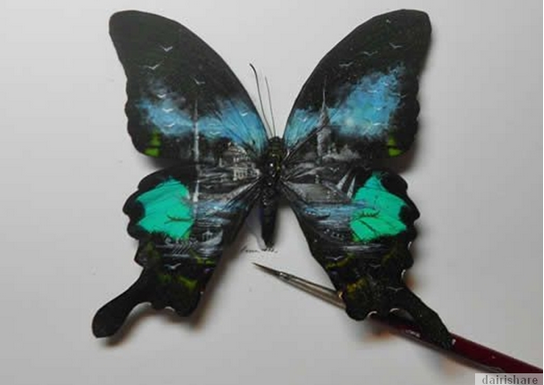 Menakjubkan ! Lukisan Di Sayap Rama-Rama | Oh MY! Media